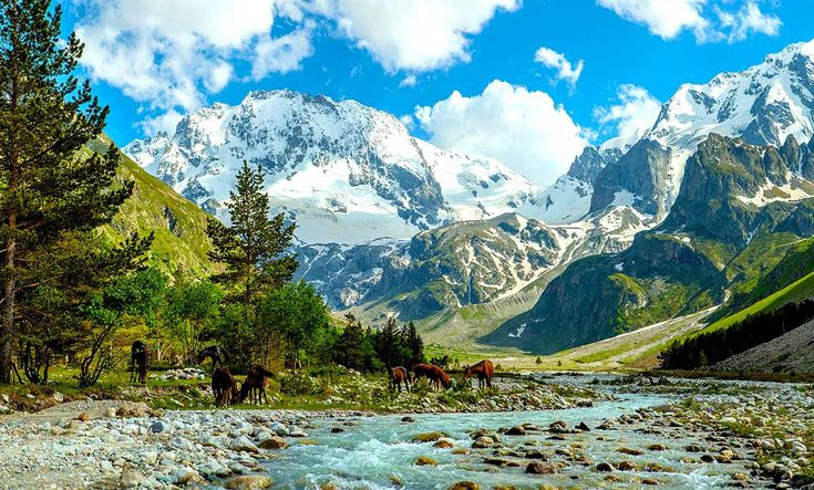 Pakistan Meteorological Department - PMD